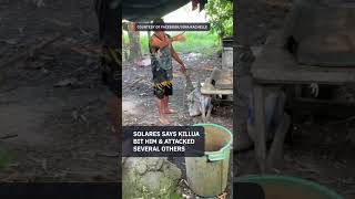 Prosecutors indict tanod who 'killed' golden retriever Killua