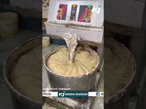 Surprising Video Reveals How Factory-Made Soybean Sticks Are Produced