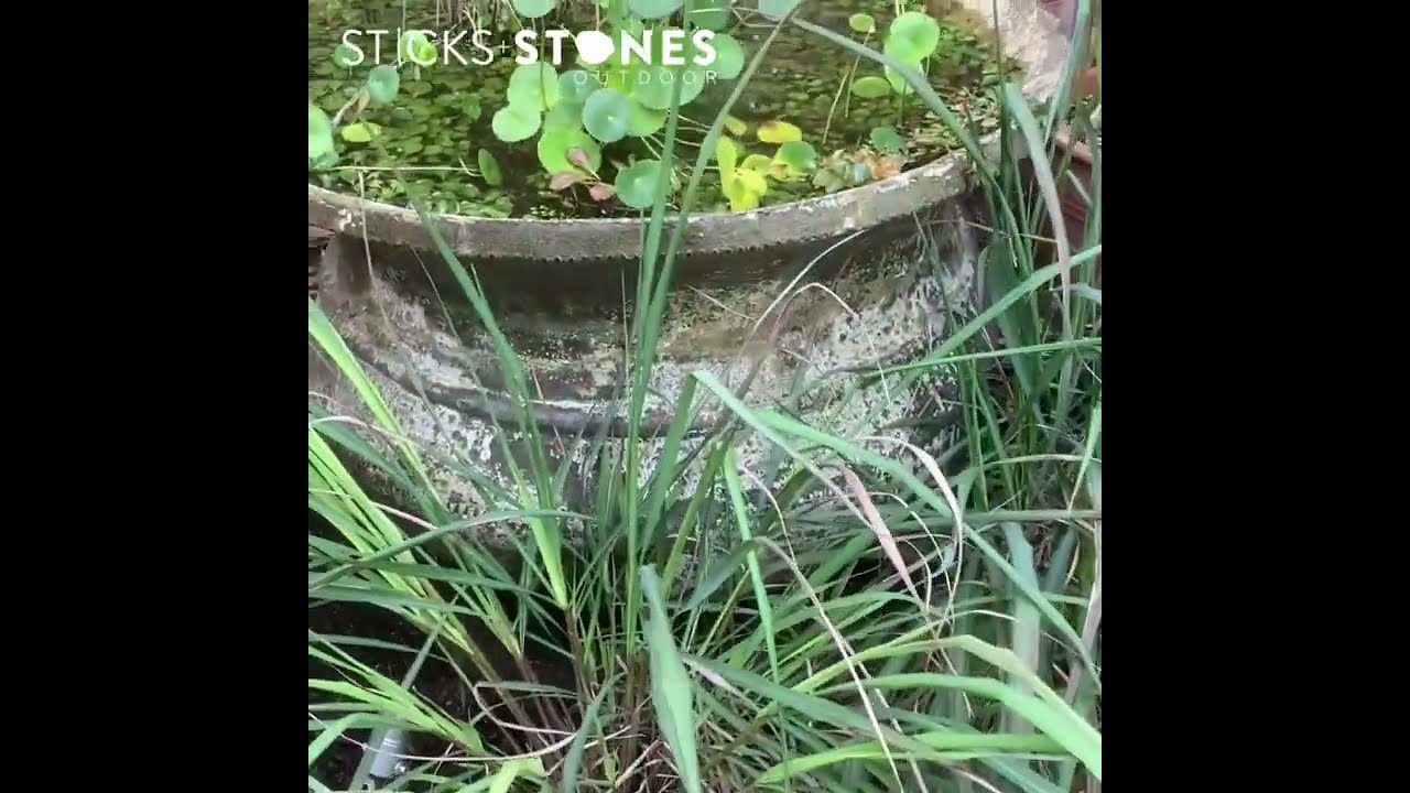 LIMESTONE POTS
