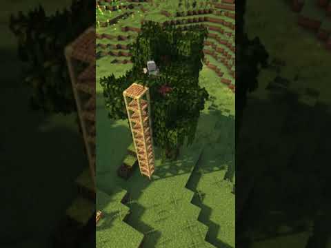 Mangrove Tree Cutting Tips #shorts #minecraft #minecraftshorts