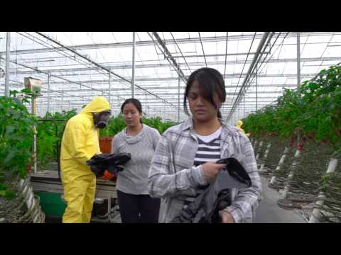 Justice for Migrant Workers // Justice pour les travailleurs migrants