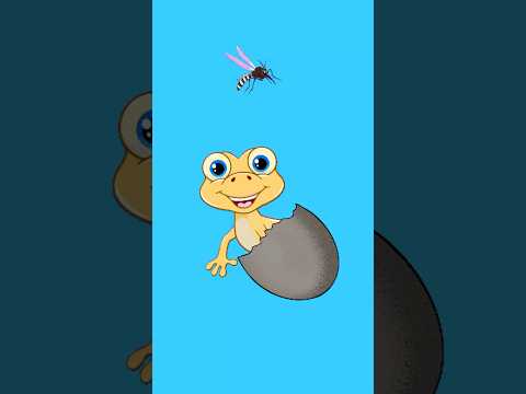 Cicak dinding Shorts 🦎 Lagu Anak indonesia