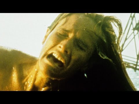 The Untold Truth Of Jaws