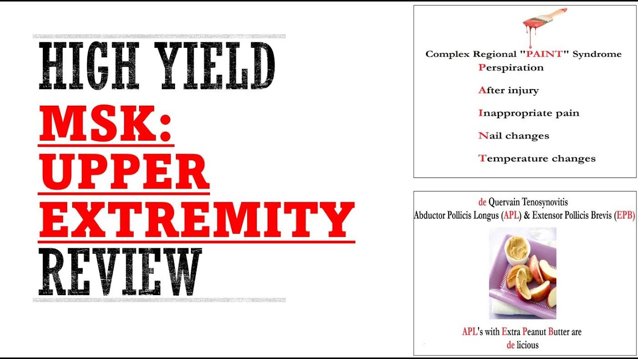 Comprehensive Guide to MSK Upper Extremity: Key Concepts and Mnemonics ...