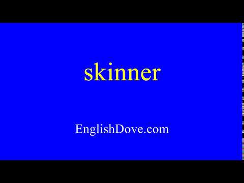 How to pronounce skinner in American English.