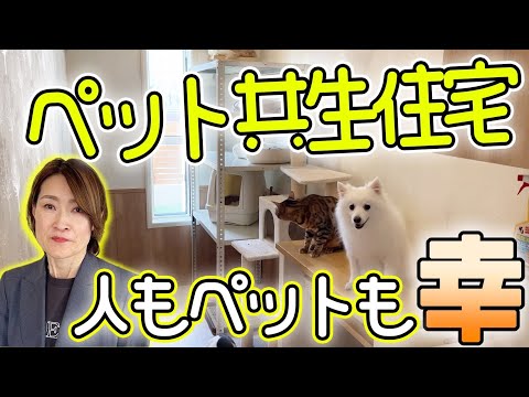 【ペット 共生住宅】ペットと暮らす!人もペットも笑顔で暮らす家づくりの秘密とは