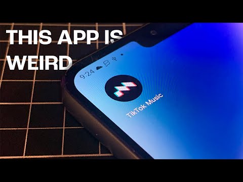 What The Hell is TikTok Music???