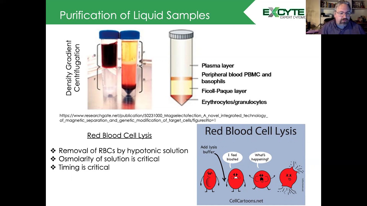 Expert Cytometry Teaching Point - Sample Preparation