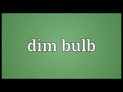 Dim bulb Meaning