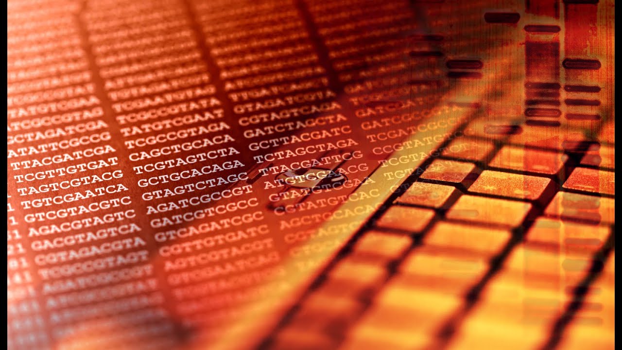 Bioinformatics for Beginners