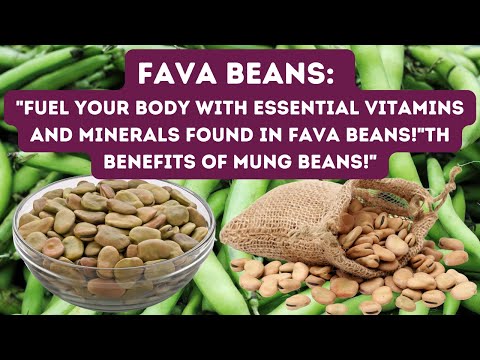 UNLOCKING THE HEALTH BENEFITS OF FAVA BEANS ( Health Benefits of Broad Beans