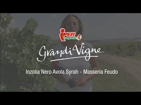 Inzolia Vino DOC | Nero d’Avola DOC | Syrah Nero d’Avola DOC | Vini Grandi Vigne Sicilia | Iper