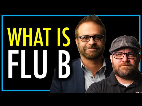 What is Flu B | Influenza B | theSITREP