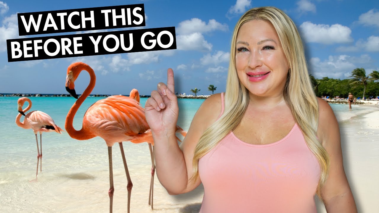 How to Visit FLAMINGO BEACH in Aruba | Renaissance Island