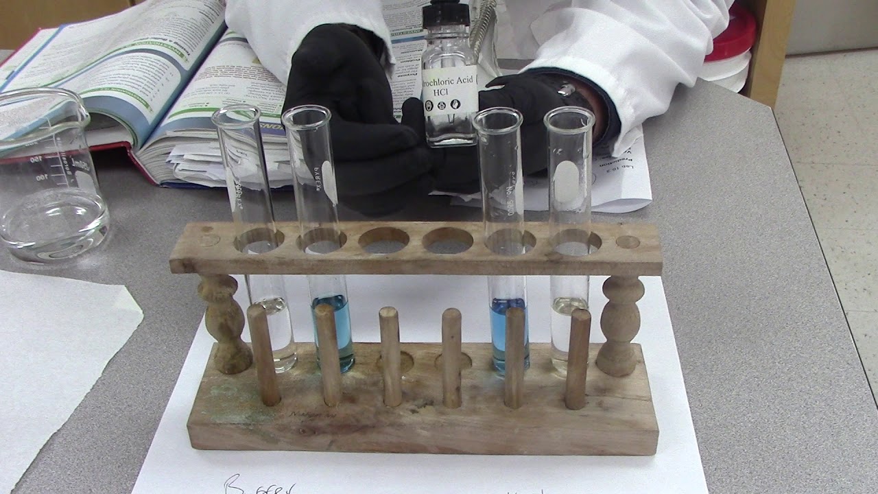 Chem 30 - Virtual Lab #1 - The Effect of Buffers on pH Change