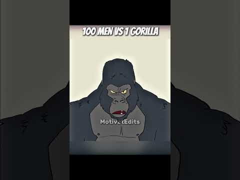 100 Men VS 1 Gorilla Debate Is Decided #edit