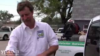 3 Best Pest Control Companies in Dallas, TX
