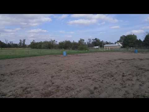 SR Moonlite Doc- For sale