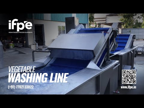 Black Soldier Fly Larvae at Best Price in India