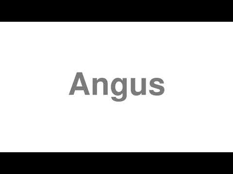 How to Pronounce "Angus"