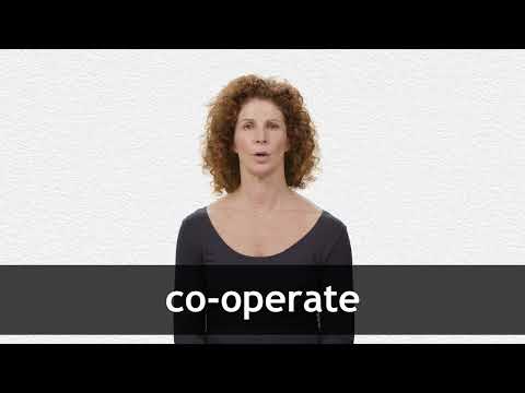 CO-OPERATE - Learn the Meaning, Synonyms & Translations | Collins ...