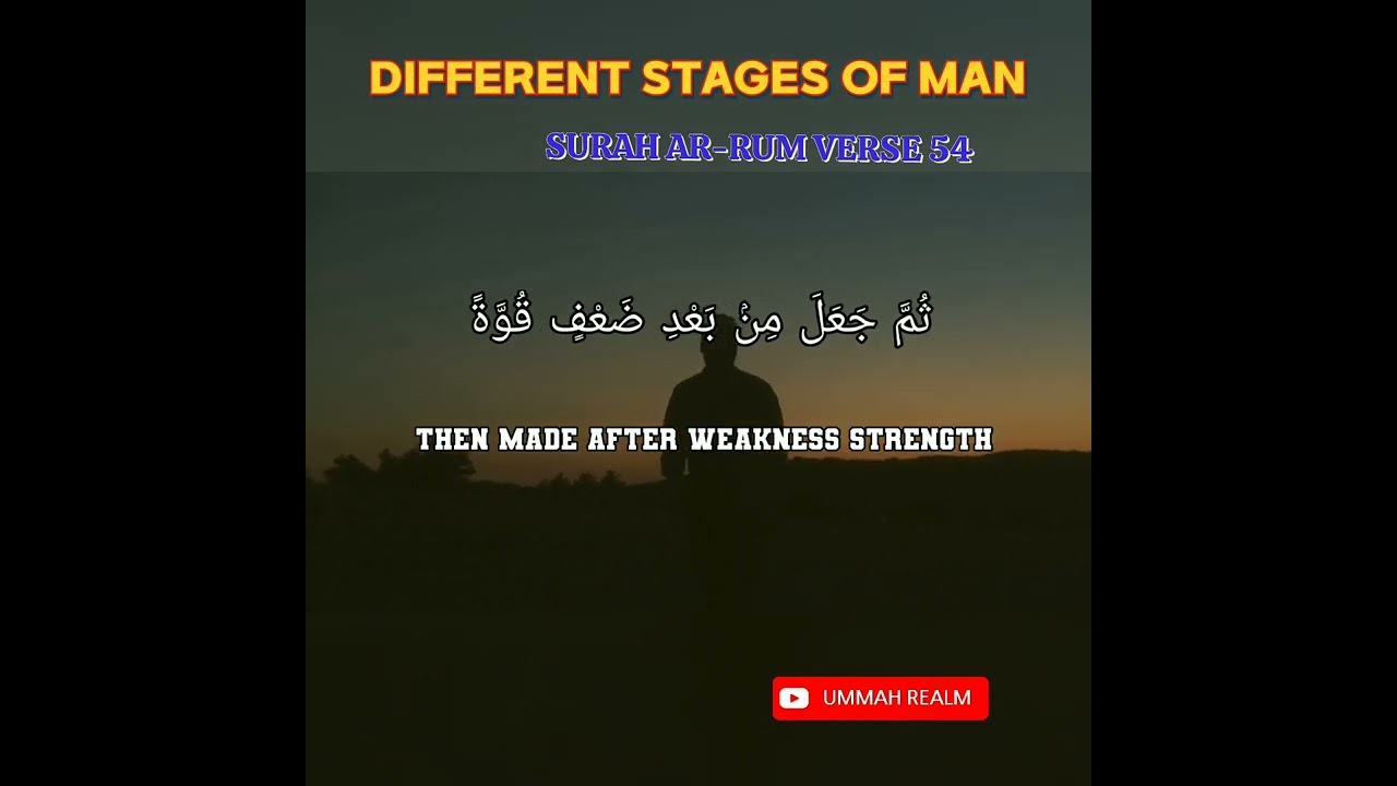 DIFFERENT STAGES OF MAN SURAH AR RUM VERSE 54