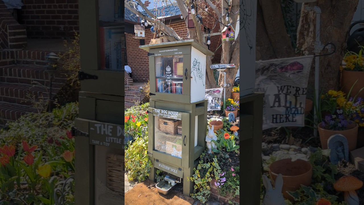 The most magical Little Free Library I've ever seen 📚✨ #littlefreelibrary