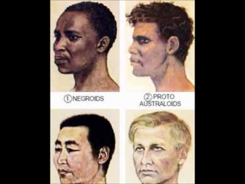 2. IVC1.wmv