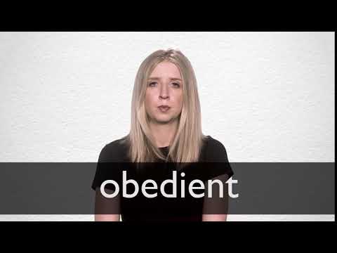 OBEDIENT Synonyms | Collins English Thesaurus
