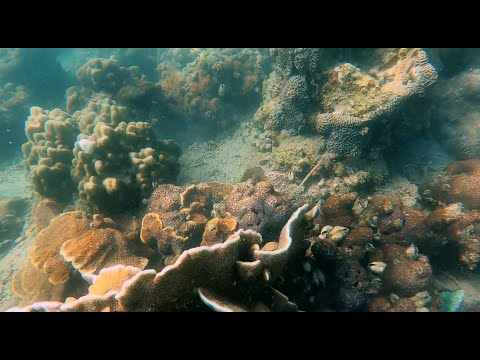 Interview with Filmmaker Ema Poposka (THE LIVING SEA) – Matthew Toffolo ...