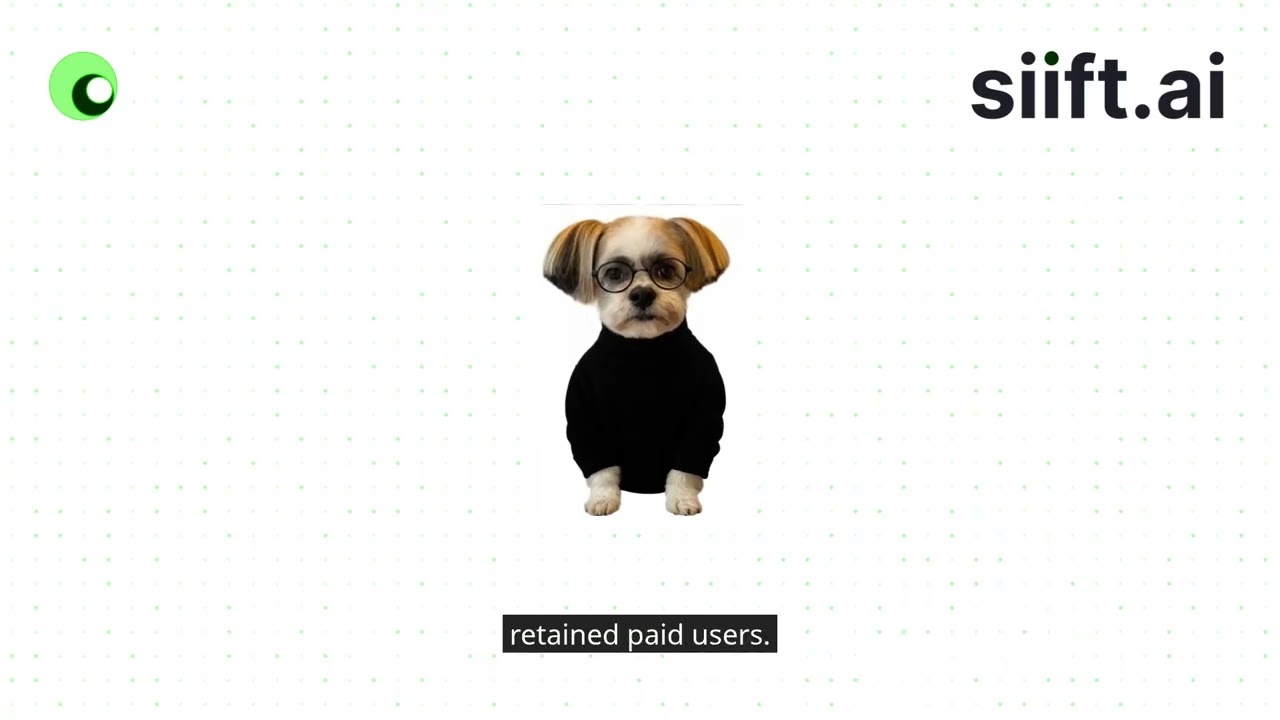 Stevii Dogs Explains   Traction Metrics for Startups  Complete Guide