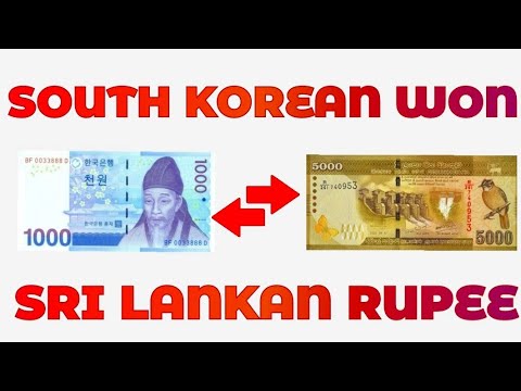 South Korean Won To Sri Lankan Rupee Exchange Rate Today | KRW To LKR | Won To Rupee