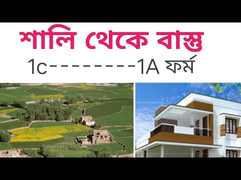 Conversion 1A and 1C কোন ফর্ম পূরণ করতে।