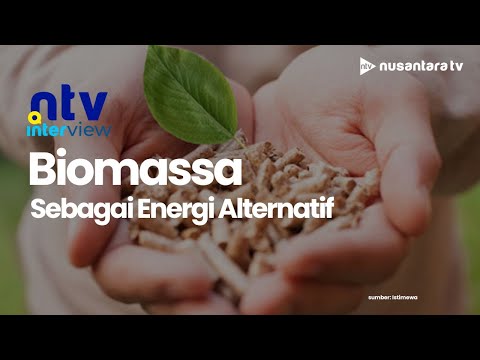 [LIVE] Biomassa Dukung Energi Alternatif | NTV INTERVIEW