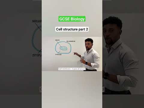 GCSE Biology - Cell Structure part 2