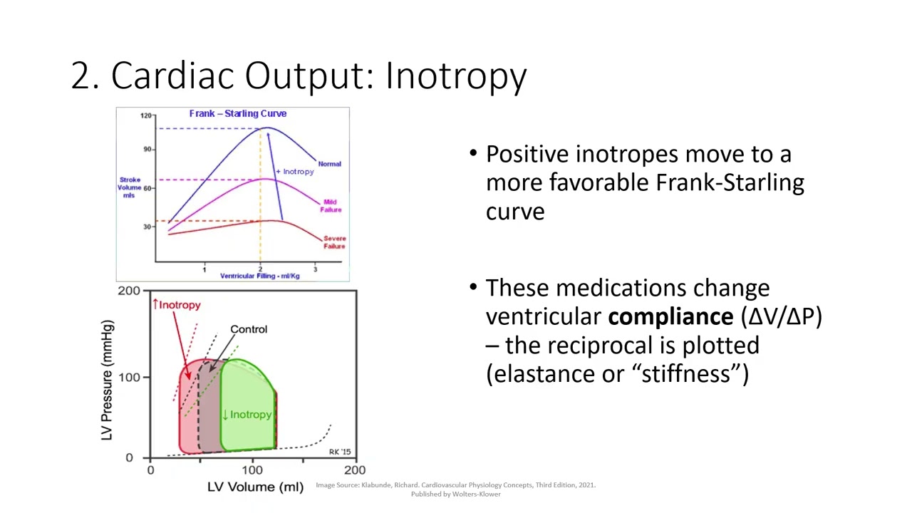 Cardiovascular Keyword Review - (Dr. Pinault)