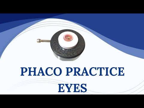 Phaco Practice Eyes - Artificial eye for phacoemulsification Latest ...