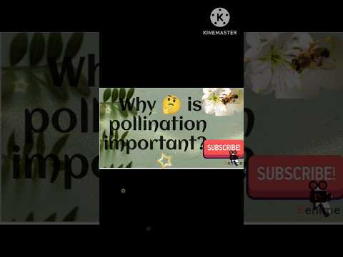 #Pollination#shorts#Why is Pollination important?????????????????????????