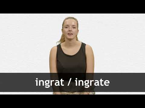 English Translation of “INGRAT” | Collins French-English Dictionary