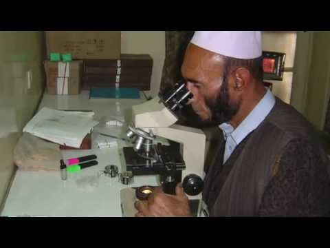 Malaria rapid diagnostic tests to improve treatment in Afghanistan