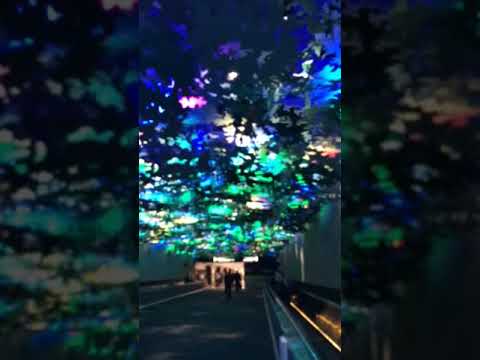 Atlanta GA airport canopy