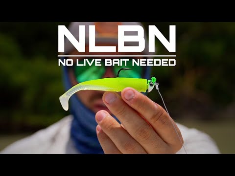 Testing NEW NLBN Swimbaits on the Florida Coast