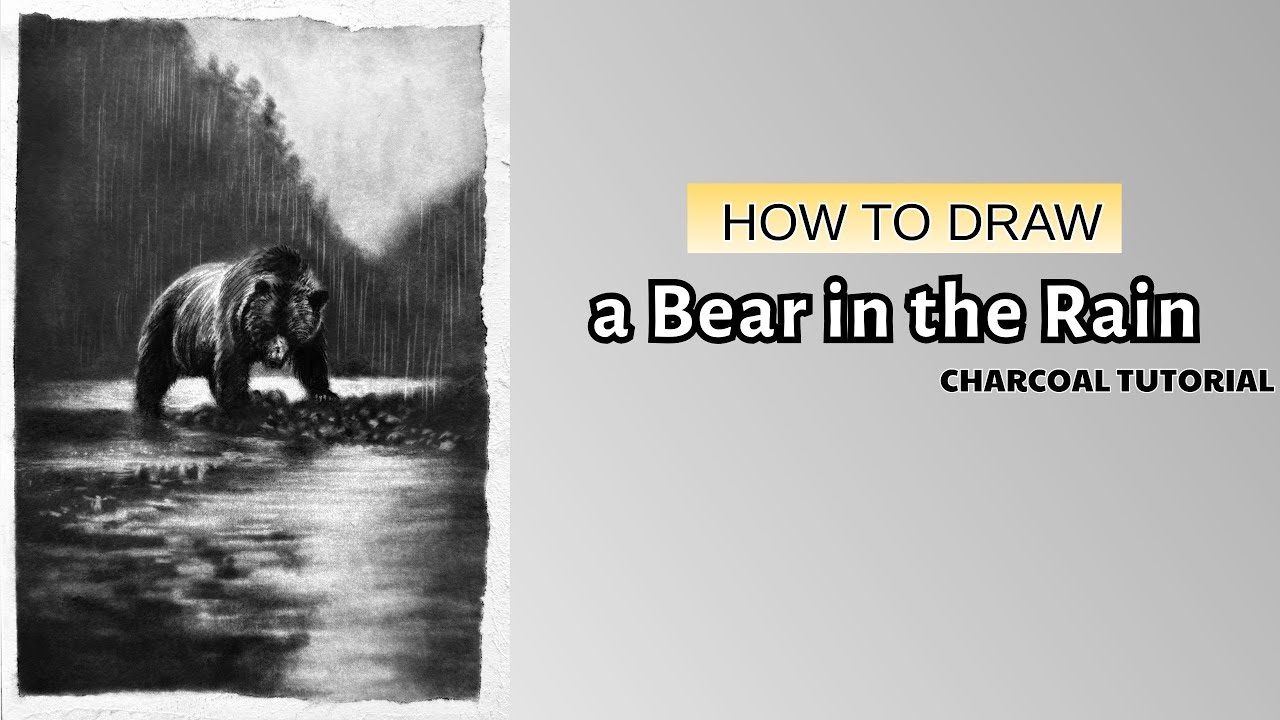 #195 Charcoal Drawing of a Bear in the Rain | Dramatic Wildlife Art