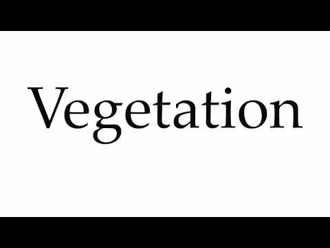 How to Pronounce Vegetation