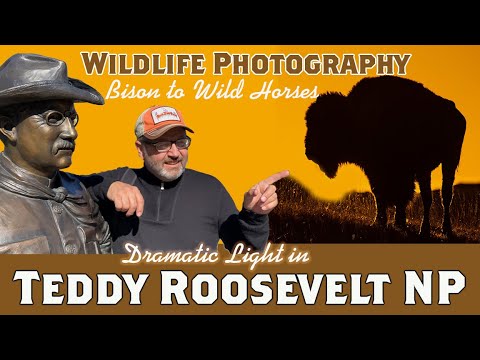 CREATIVE Wildlife Photography in Teddy Roosevelt NP Dramatic Light ...