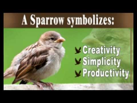 The Beautiful and Powerful Symbolic Meaning of Sparrows