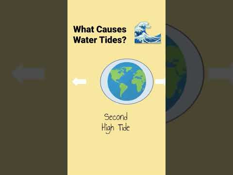 Tidal Waves | Spring & Neap Tides
