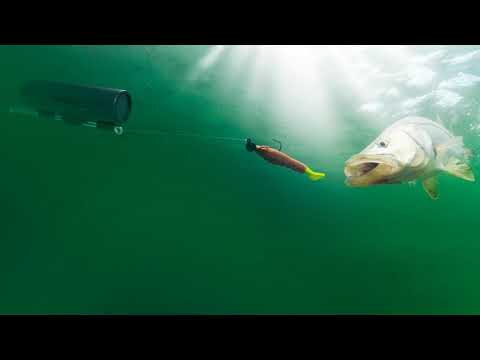GoFish Cam Test 1