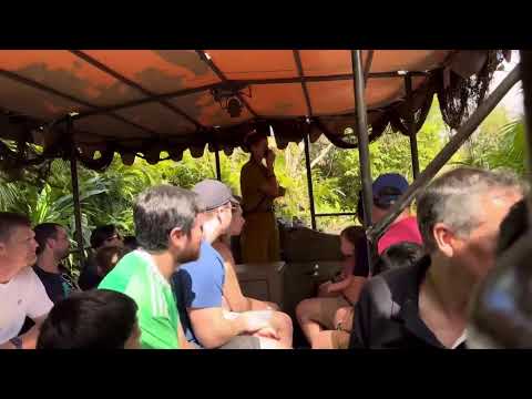 Magic Kingdom Live Stream