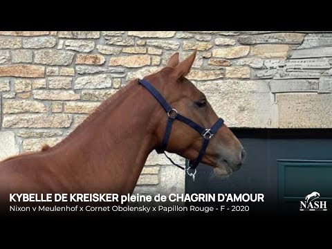 N°11 KYBELLE DE KREISKER - Nash Breeding Auction - 07/10/2024